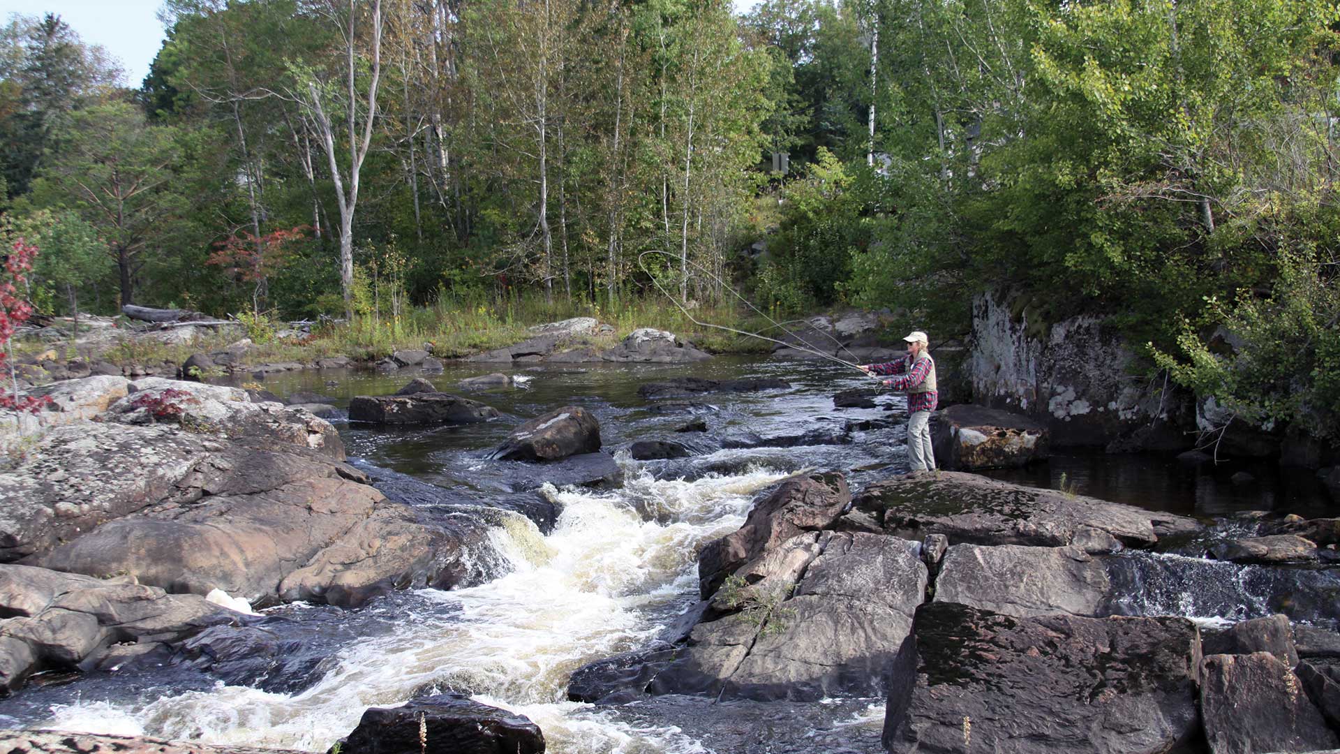 Friends of the Black River
